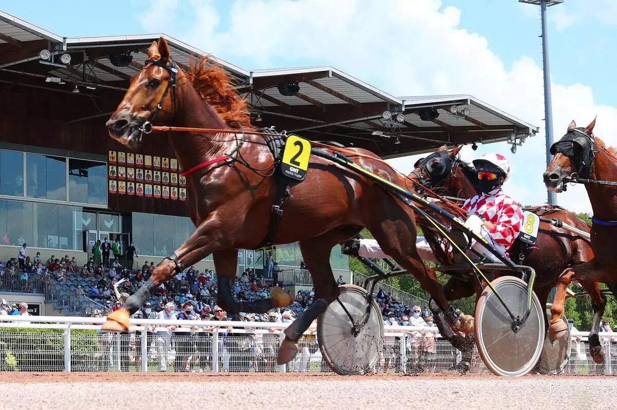 Courses PMU - Méfiance pronos/Méfiance Top 8/ Du 13.01.2026 - MEGA-TURF.FR